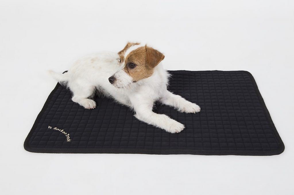 Acheter un tapis pour chien solide et pas cher : le guide complet